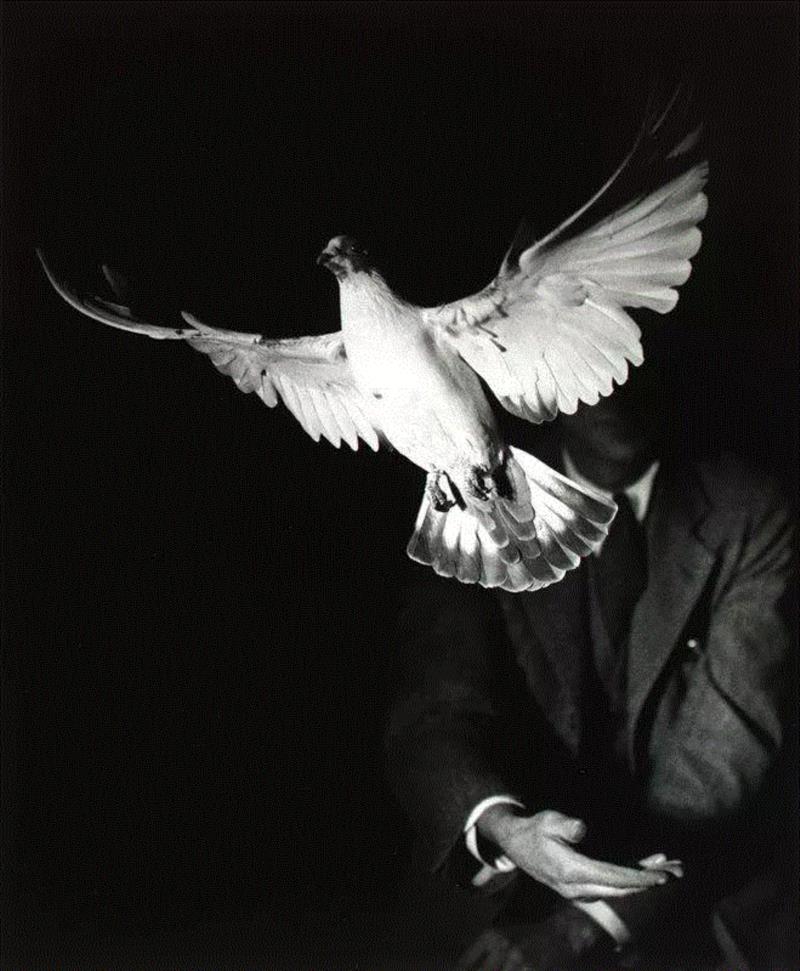 高速摄影之父：Harold Edgerton - 徐淳刚 - 崇真艺客