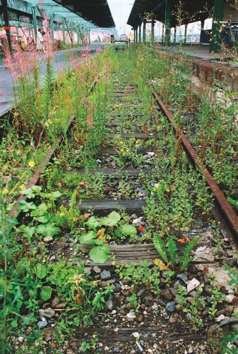 物种 / 属性 / 族群 / 秩序 / 阶级 / 帝国 / 边界 / 生活——路易斯·温伯格 | documenta 10 - 卡塞尔 - 崇真艺客