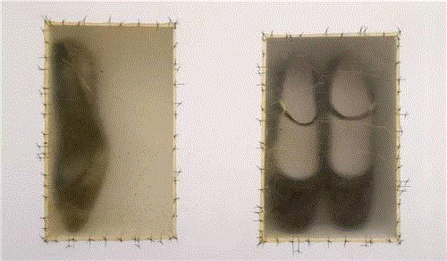 【中间推荐艺术＋】桃瑞丝·沙尔塞朵 Doris Salcedo - 中间美术馆 - 崇真艺客