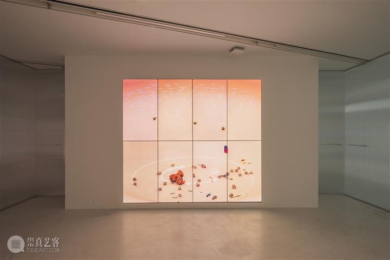 UCCA Edge新展“集光片羽” | 当生活在数字世界的滤镜之下 - 热点聚焦 - 崇真艺客