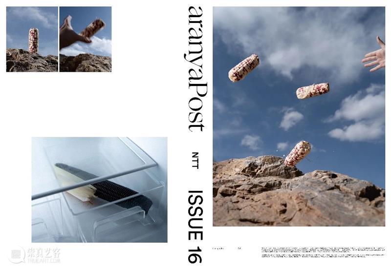 6月书展火热来袭｜与邮报一起畅游艺术之境 - 阿那亚邮报 aranyaPost - 崇真艺客